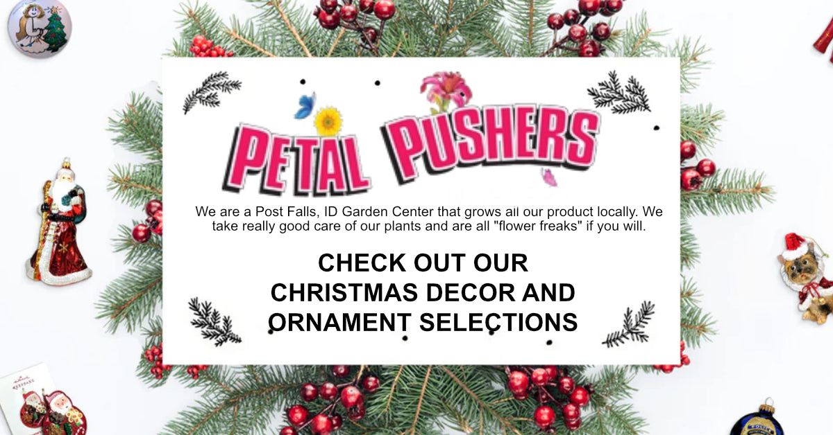 Specializing in outdoor gardening and succulents you can order online ...